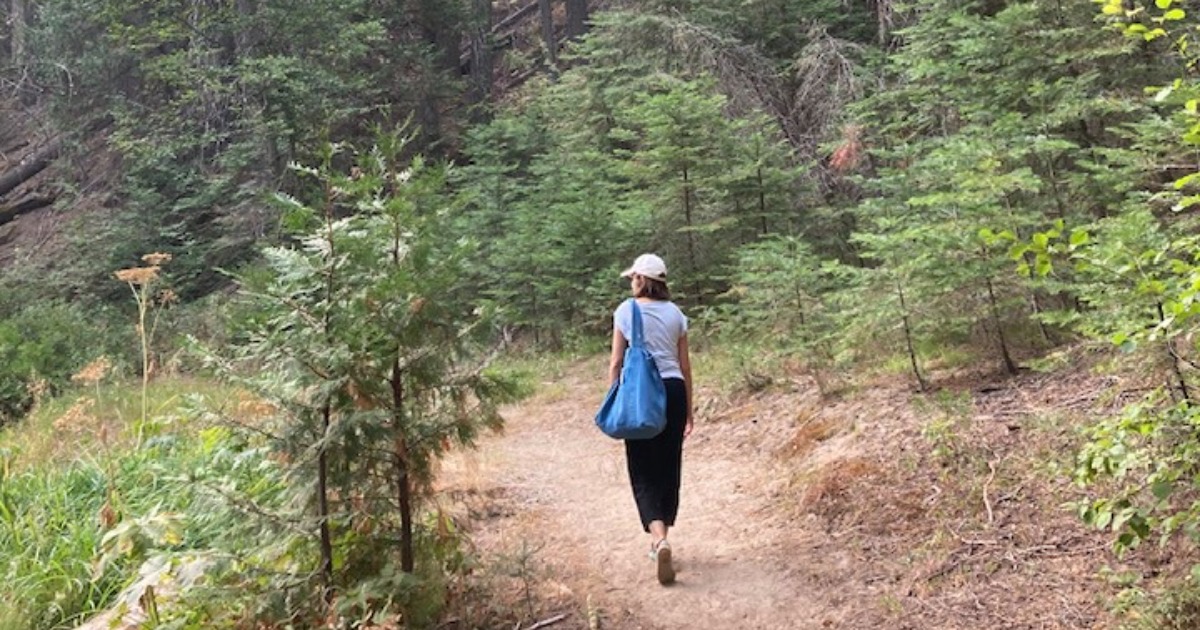 Mindfulness, Meditation, Forest Bathing, Labyrinth Walks, and Retreats