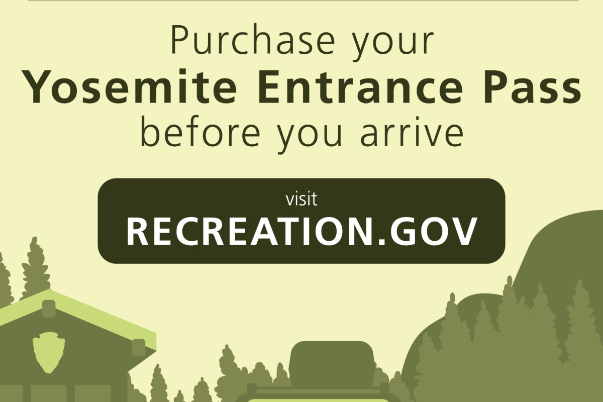 Yosemite National Park: Tours, Activities, Guides and Trip Ideas