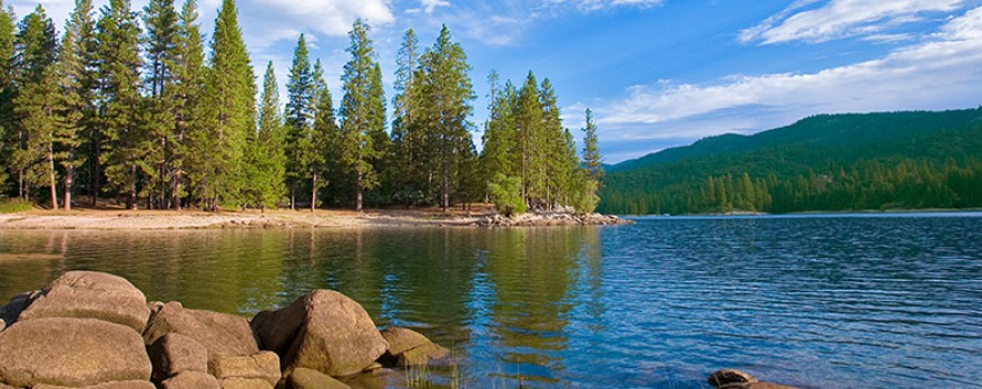 What To Do near Yosemite - Wine Tours, Fishing, 3 National Parks!