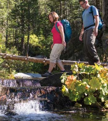 Dine and Stay in Fish Camp outside Yosemite National Park